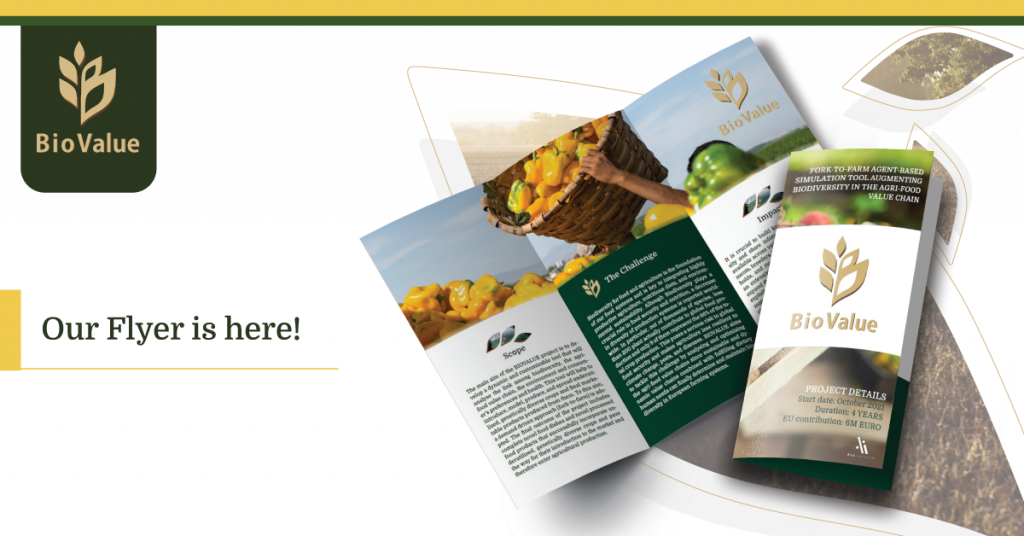 BioValue’s flyer designed by AXIA Innovation – AXIA INNOVATION